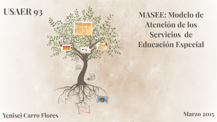 MASEE: Modelo de Atención de los Servicios de Educación Esp by Yenisei ...