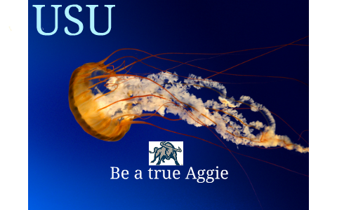 Usu by Devin Bennett on Prezi