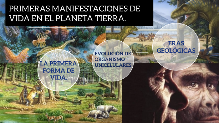 PRIMERAS MANIFESTACIONES DE VIDA EN LA TIERRA. by camila tobar on Prezi