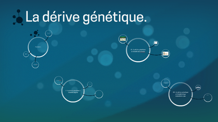 La dérive génétique. by Ancel Guillaume on Prezi
