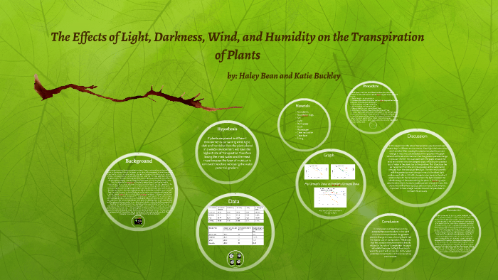 The Effects of Light, Darkness, Wind, and Humidity on the Tr by Haley ...