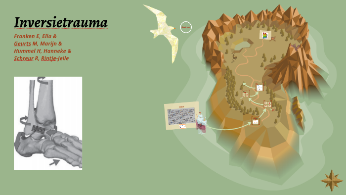 Inversietrauma by Rintjejelle Schreur on Prezi