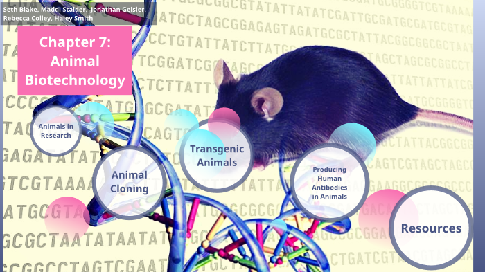 Chapter 7: Animal Biotechnology by Seth Blake on Prezi