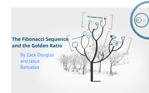 Fibonacci Sequence Zack and Jesus by Jesus Banuelos on Prezi