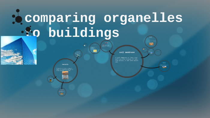 cell similes by Aden Hadlock on Prezi