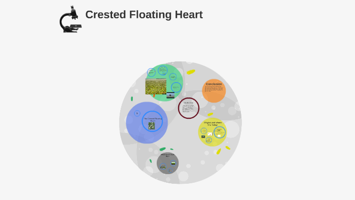 Crested Floating Heart by Robert Orta on Prezi