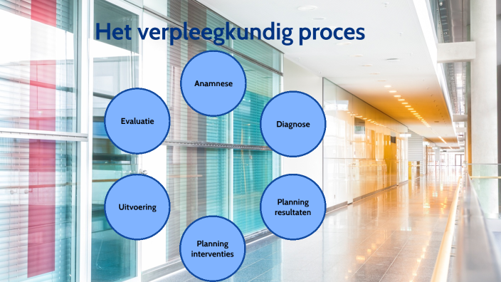 Verpleegkundig proces & het zorgplan by Romy van Ruitenbeek on Prezi