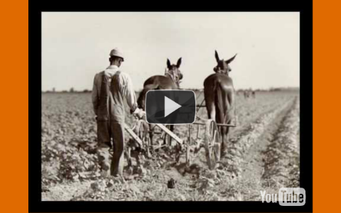 Oldest The Age of Hyper-Commercialism by Brad Howard on Prezi