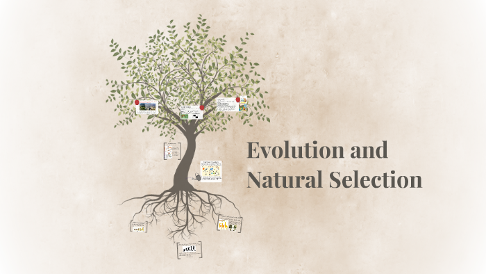 Evolution L1 by TD Lin on Prezi