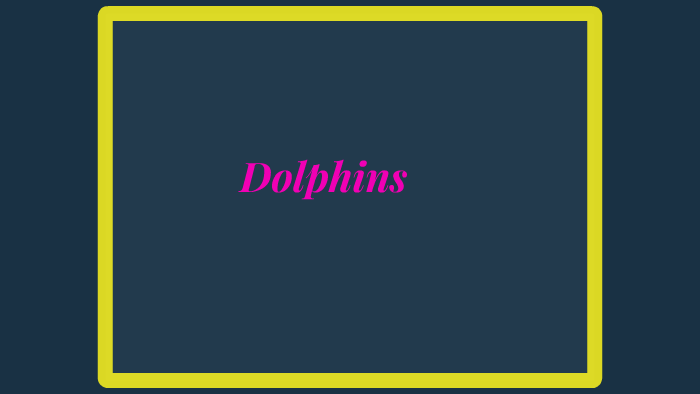 Dolphins by Samara Ward on Prezi