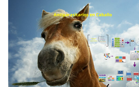 Antiparasitarios en Caballo by Nay Almazan on Prezi