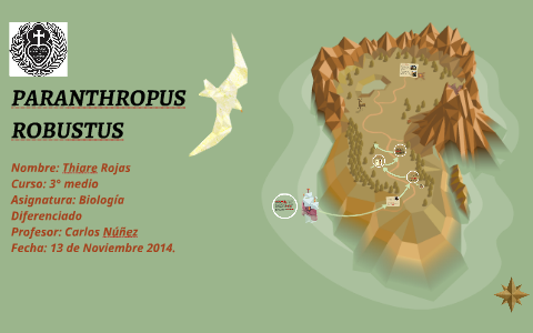 PARANTHROPUS ROBUSTUS by Thiare Alejandra on Prezi