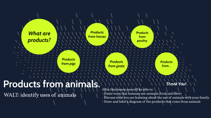 How do humans use animals? by Bethany McElhenny on Prezi