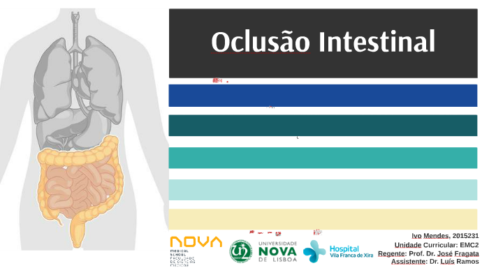 Oclusão Intestinal by Ivo Mendes on Prezi