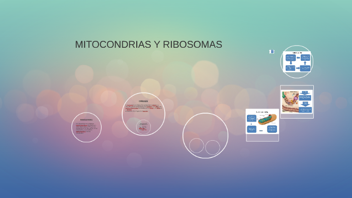 MITOCONDRIA Y RIBSOMAS by maria jose choles solano on Prezi