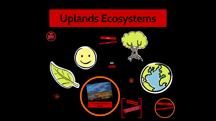 Upland ecosystems by Kaitlyn Holtz on Prezi