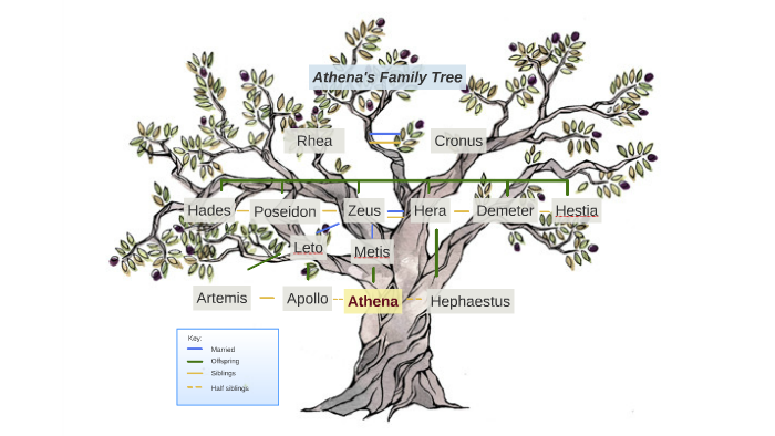Athena Family Tree by Hannah Lu on Prezi