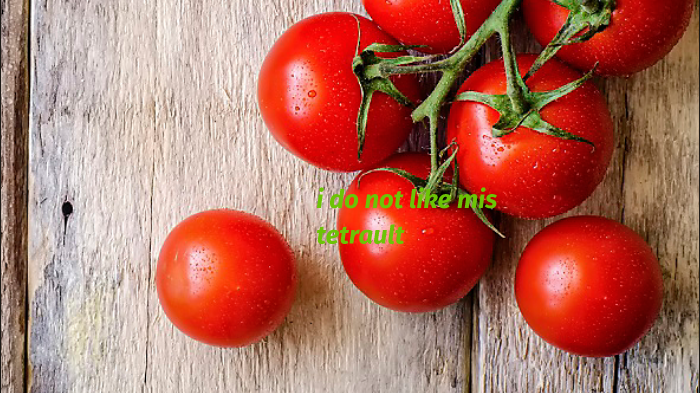 All about Tomatoes by edie tetrault on Prezi