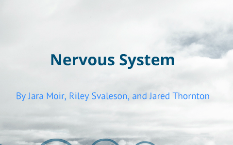 The Nervous System by Jared Thornton on Prezi