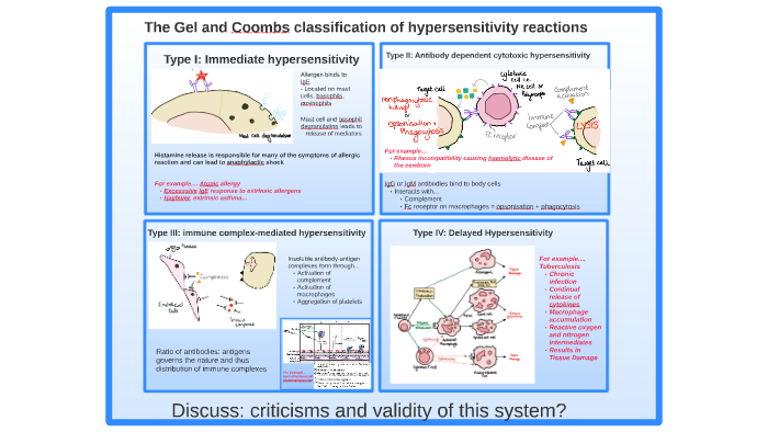 The Gel and Coombs classification of hypersensitivity reacti by Bethany ...
