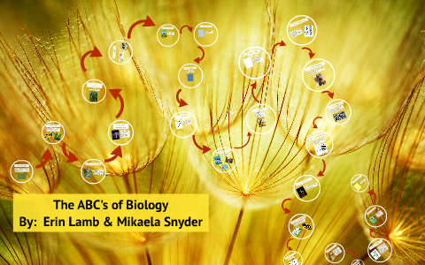 The ABC's of Biology by Erin Lamb on Prezi