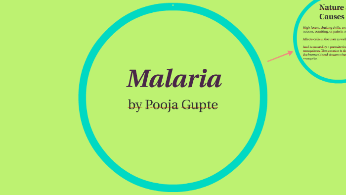 Malaria Project by Pooja G on Prezi