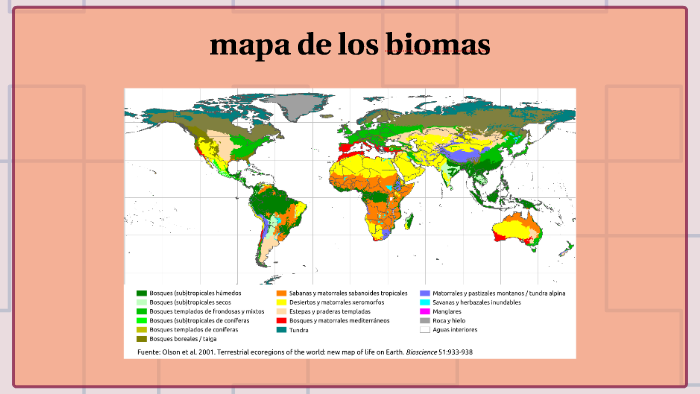 mapa de los biomas by Slendy Montañez on Prezi