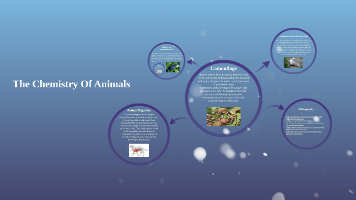 The Chemistry Of Animals by Melina Comella on Prezi