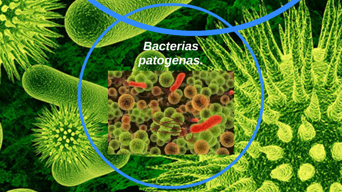 Bacterias patogenas. by Carlos Piña on Prezi