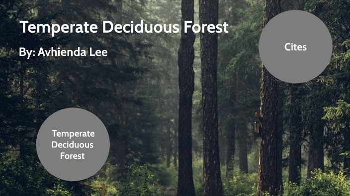 Module Eight Pathway Three Mastery Assignment by Avhienda Lee on Prezi