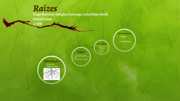 Raízes by ivan Dorta on Prezi