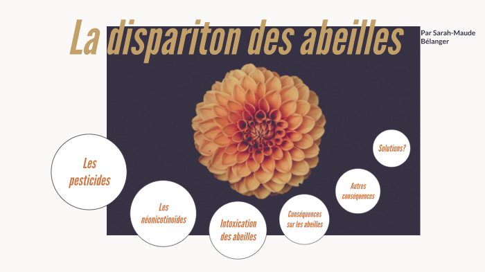 Disparition des abeilles by Sarah-Maude Bélanger on Prezi