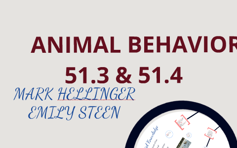 AP Bio Chapter 51 Animal Behavior by Mark Hellinger on Prezi