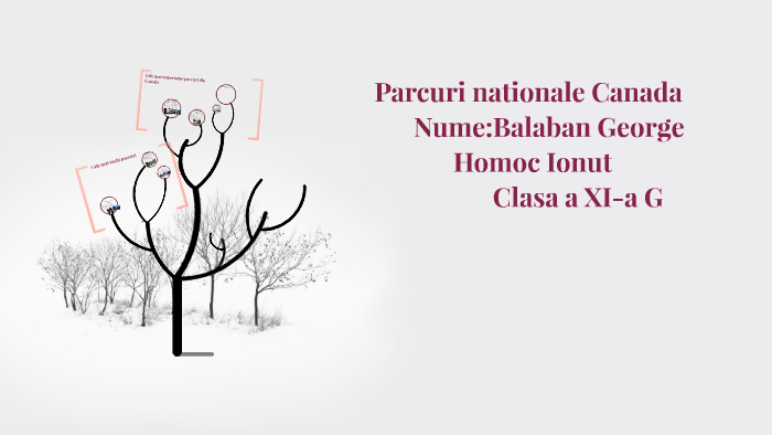 Parcuri nationale Canada by george balaban on Prezi