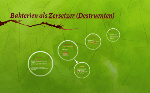 Bakterien als Zersetzer (Destruenten) by Carolin Gstrein on Prezi