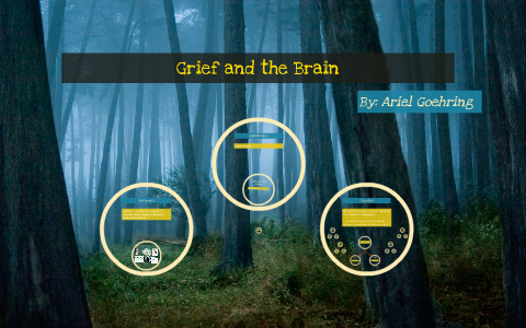 Grief And The Brain By Ariel Goehring On Prezi