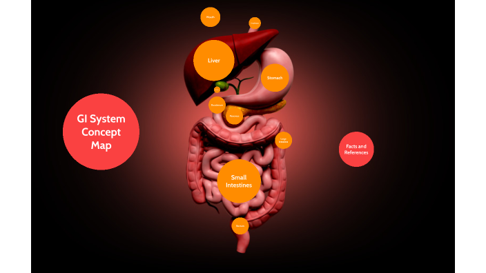 GI System Concept Map by Shelbi Streiff on Prezi