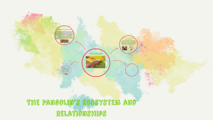 The pangolin's ecosystem and relationships by Simone Orleans on Prezi