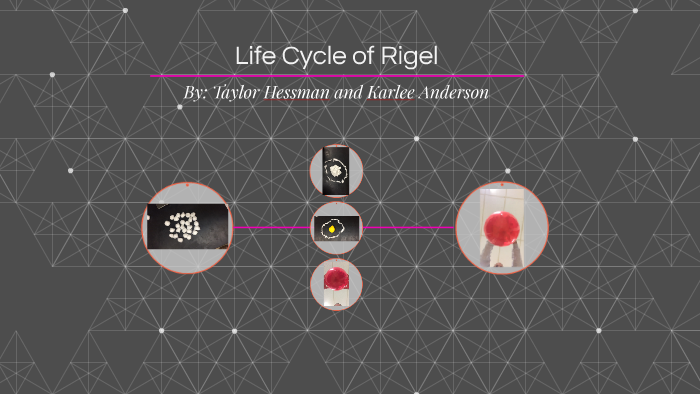 Life Cycle of Rigel by Taylor Hessman on Prezi