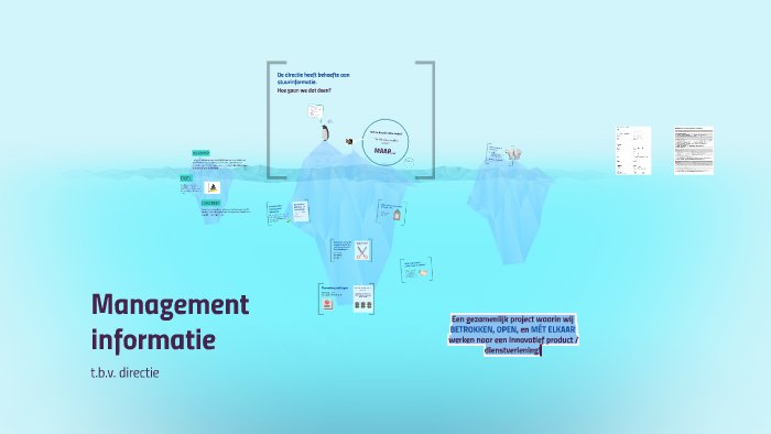 Management informatie by Ali Yetgin