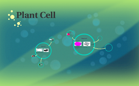 Plant Cell by jacob caceres on Prezi