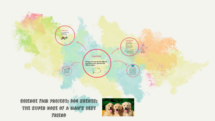Science fair Project: Dog scents: the super nose of a man's by Angelica ...