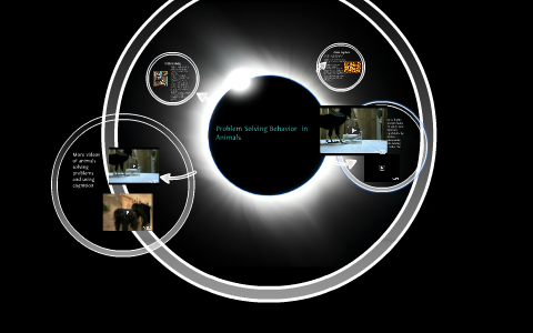 Problem Solving Behavior in Animals by Lauren Reese on Prezi