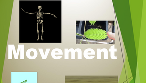 CSEC Biology-Movement (Plants & Animals).ppt by Jahcynthia Harvey on ...