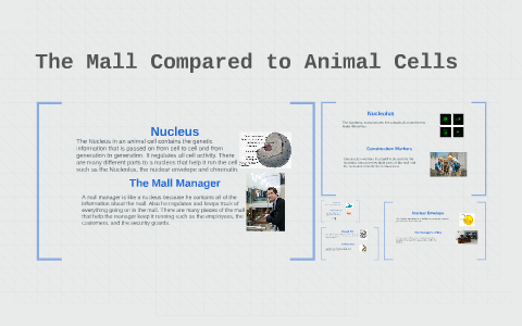 The Mall Compared to Animal Cells by Julianna Buccafuri on Prezi
