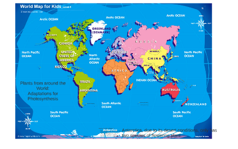 Plants from around the World: by Jenny Bunsell