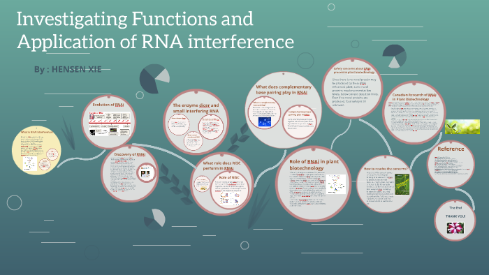 Investigating Functions and Application of RNA interference by Xie ...