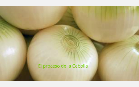 El proceso de la Cebolla by Andrea Rico on Prezi