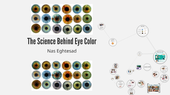 The Science Behind Eye Color by on Prezi