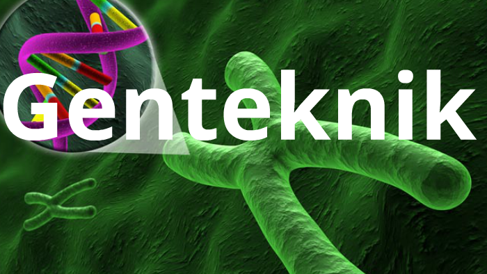 Genteknik by Julia Jansson on Prezi